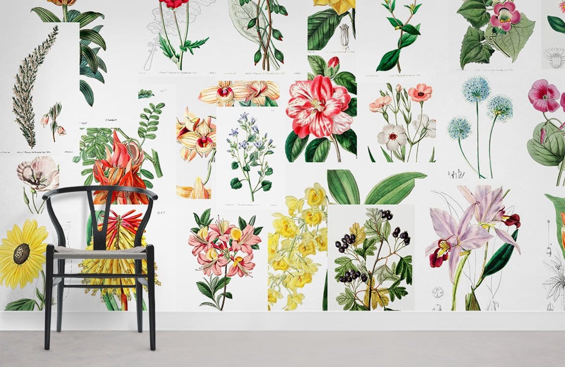 Botany Wall Murals