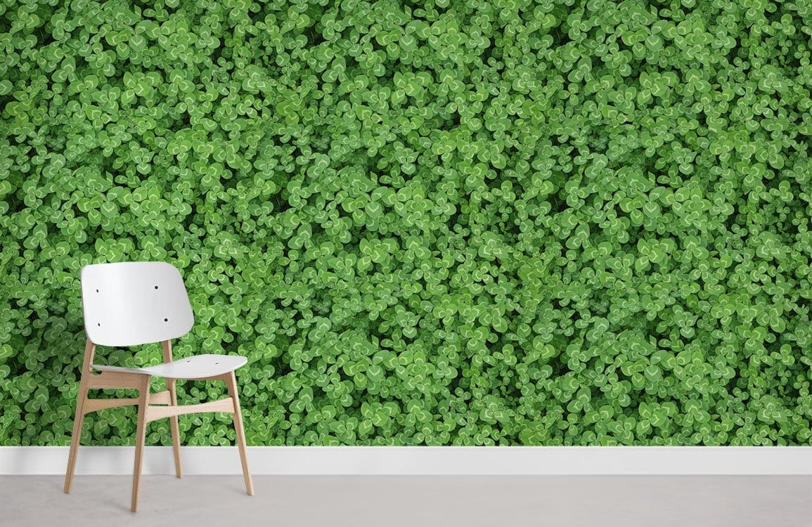 Clover Wall Murals