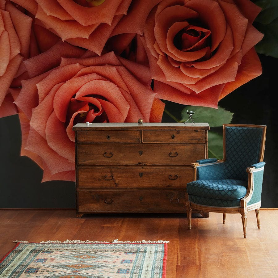 Enchanted Dark Roses Wall Murals