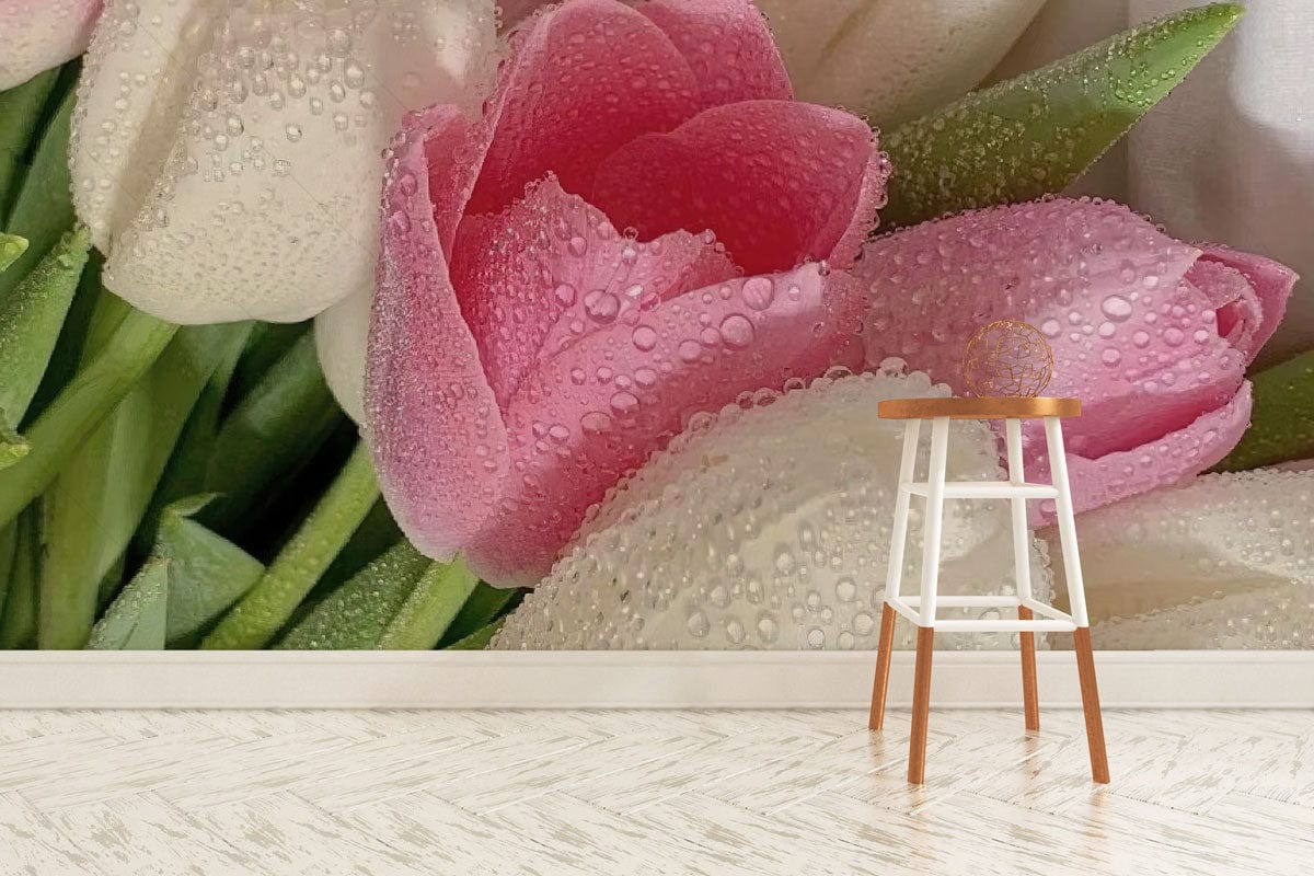 Fresh Tulips Wall Murals