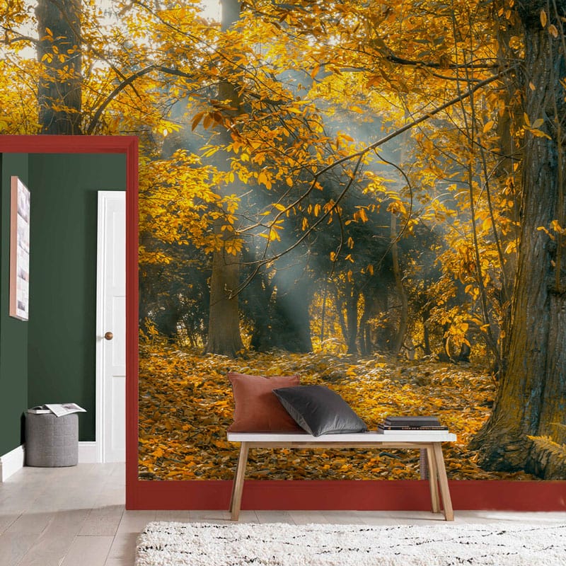 Golden Fall Forest Wall Murals