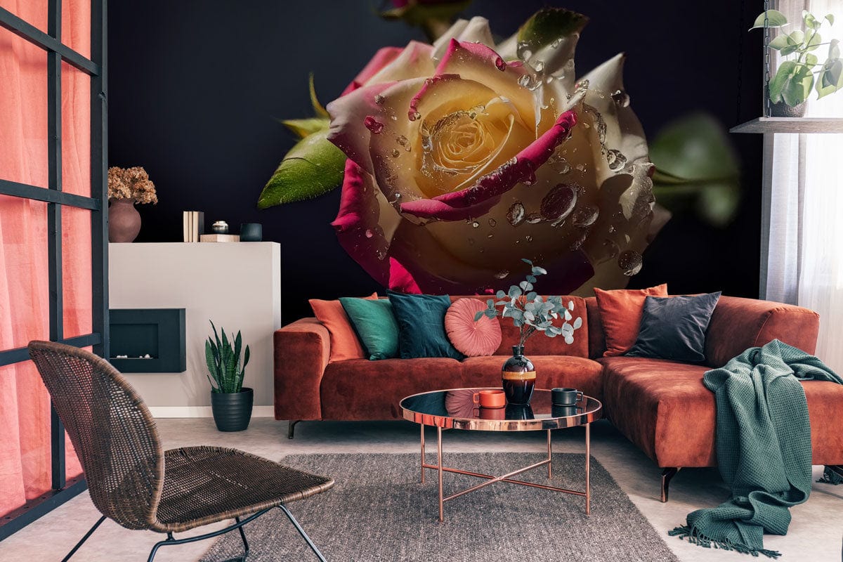 Rainbow Rose Wall Murals