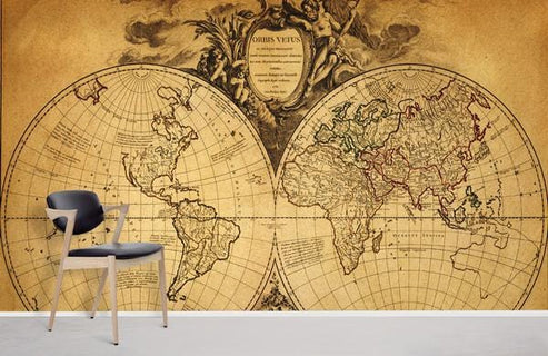Rustic World Map Wall Murals
