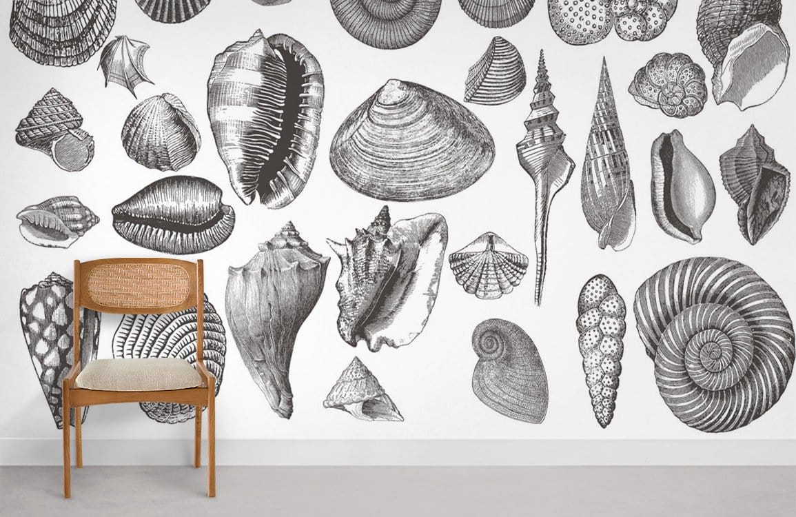 Seashells Wall Murals